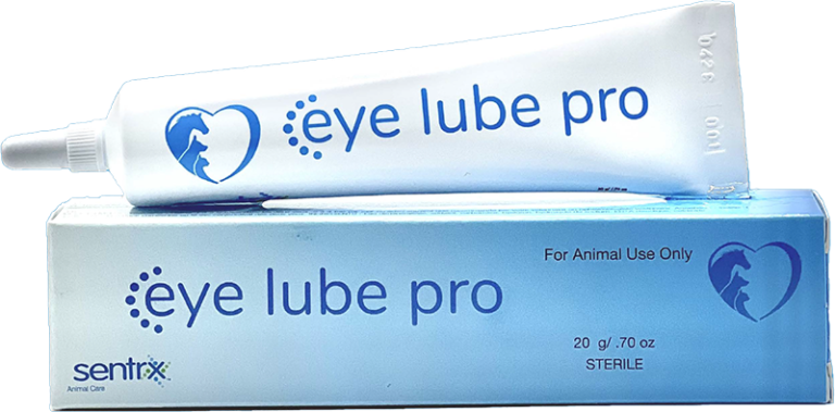Eye Lube Pro | Dômes Pharma US